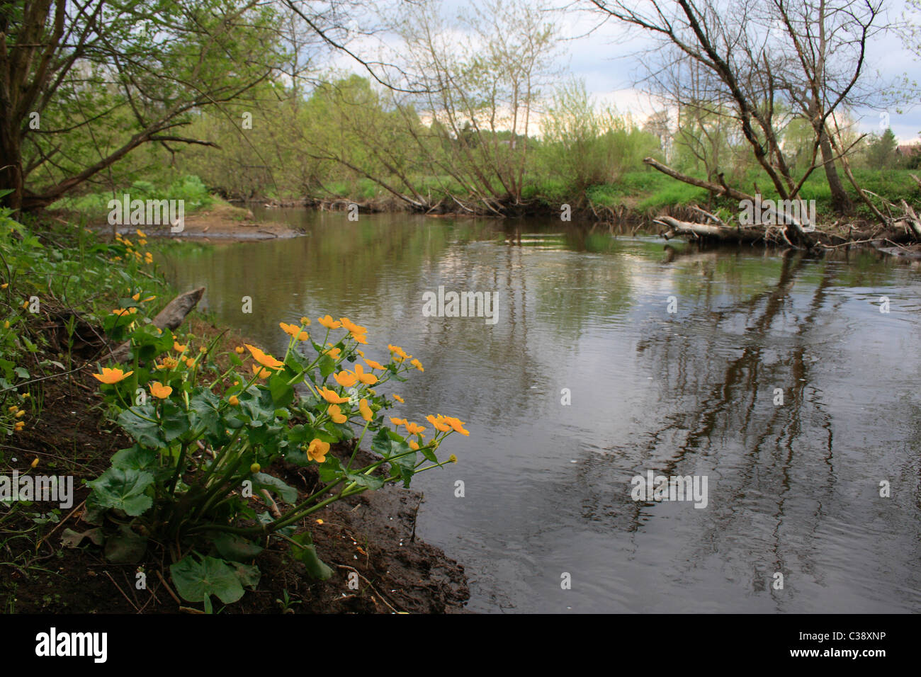 Swidra hi-res stock photography and images - Alamy