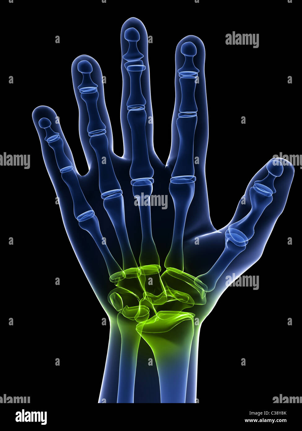 Hand joint hi-res stock photography and images - Alamy