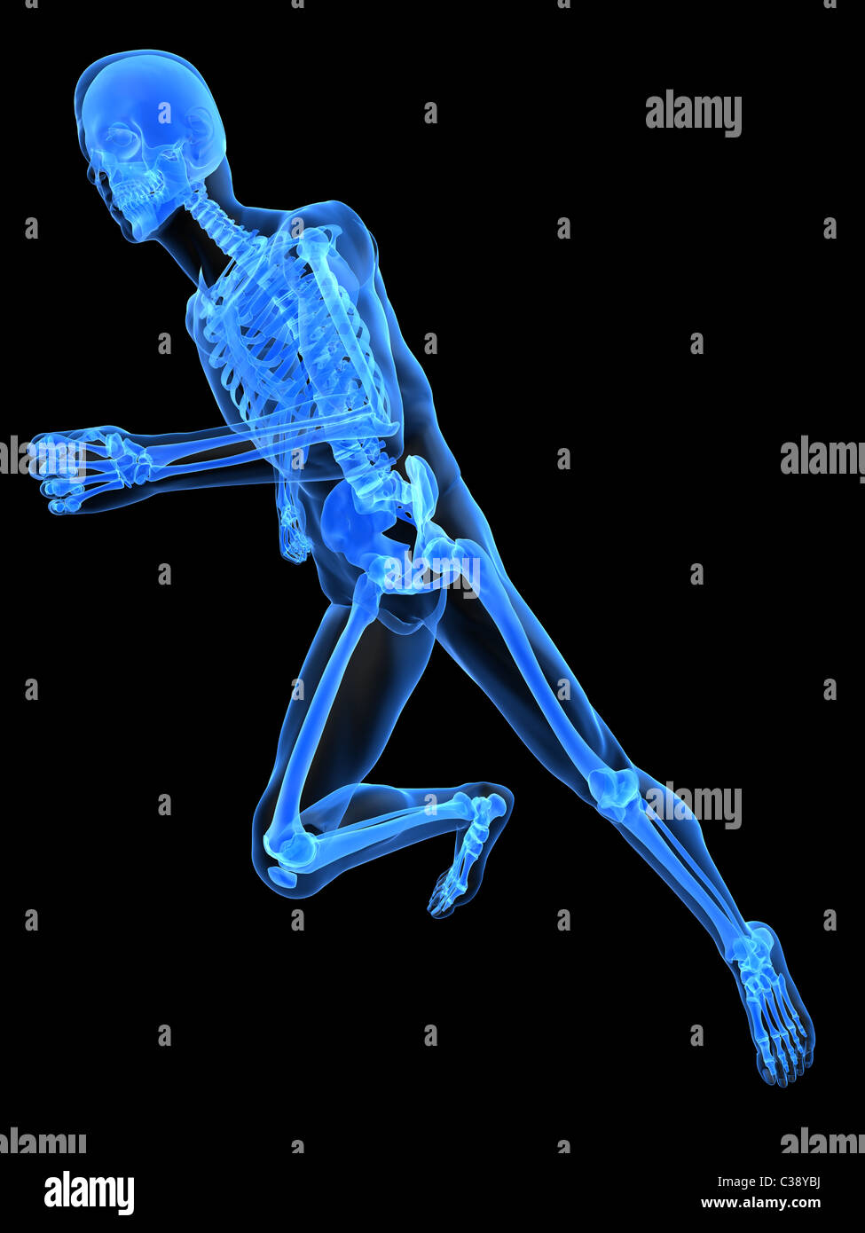 Skeleton Man Walking Stock Photos & Skeleton Man Walking Stock Images ...