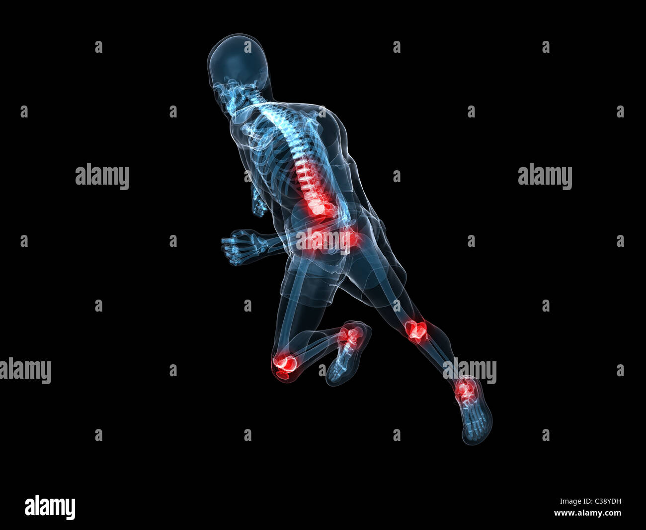 Body joints hi-res stock photography and images - Alamy