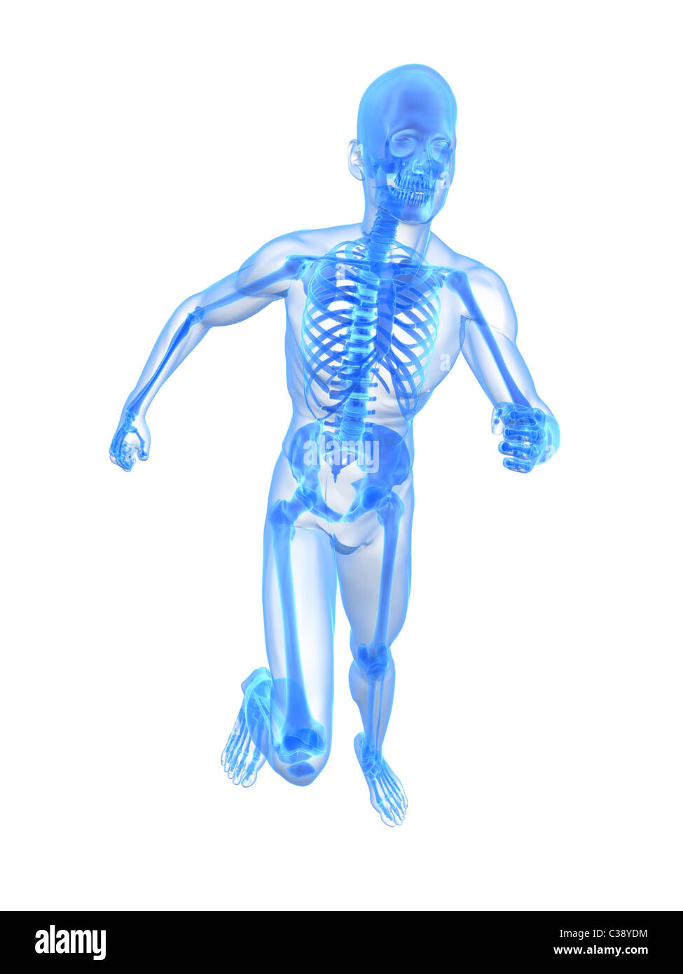 Running man anatomy medical illustration Cut Out Stock Images ...