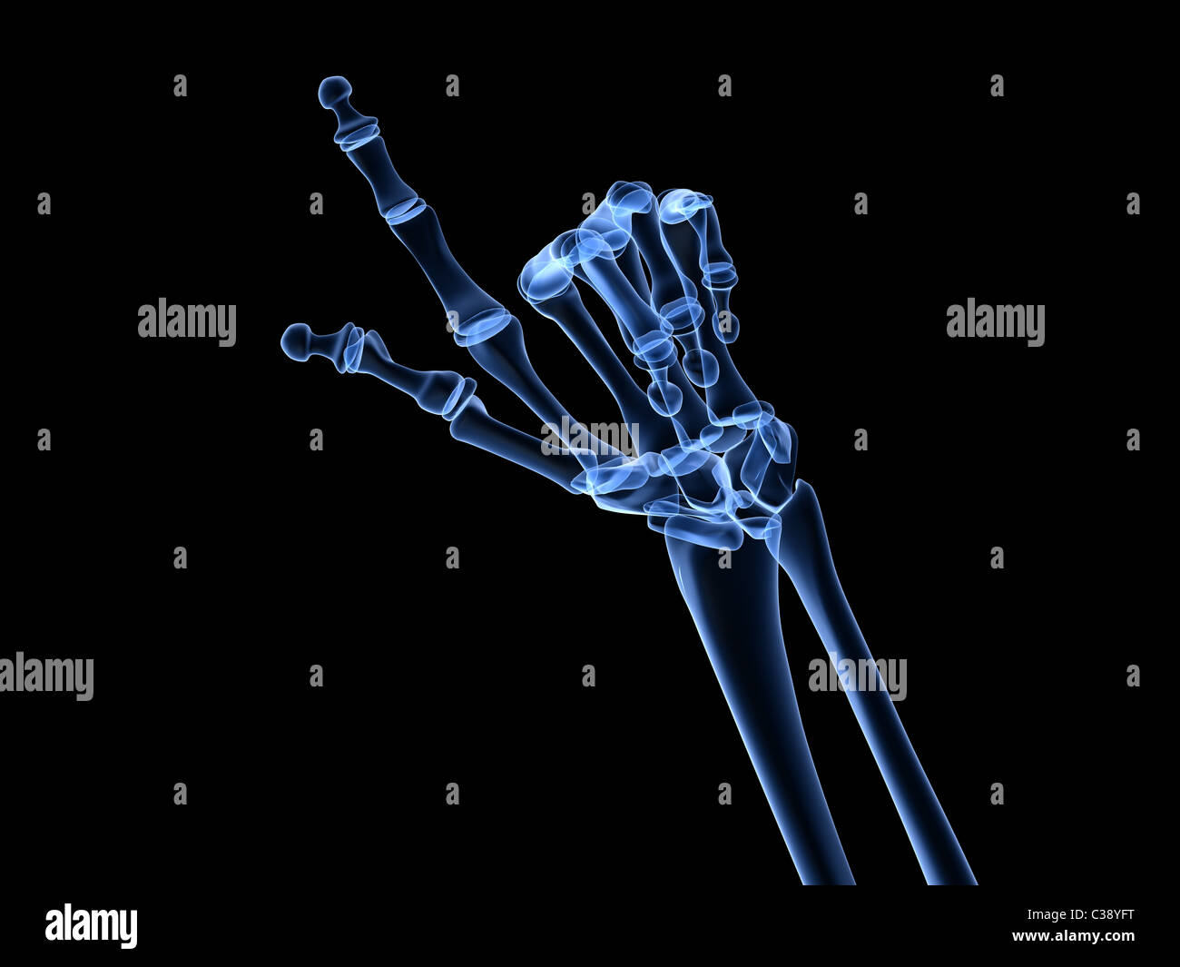 human skeletal hand Stock Photo - Alamy