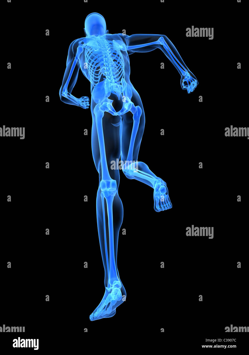 Running Skeleton High Resolution Stock Photography and Images - Alamy