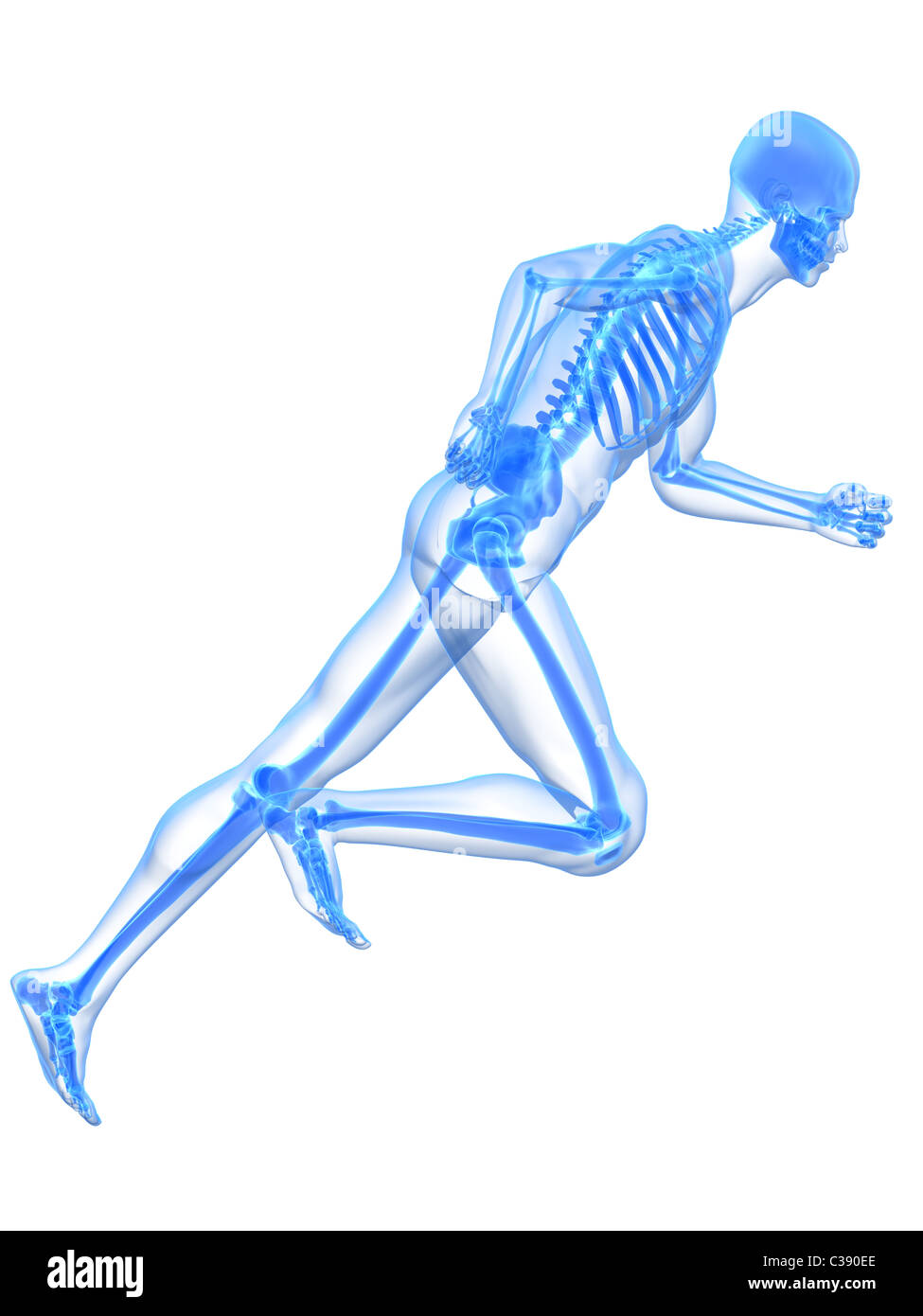 Running man anatomy medical illustration Cut Out Stock Images ...