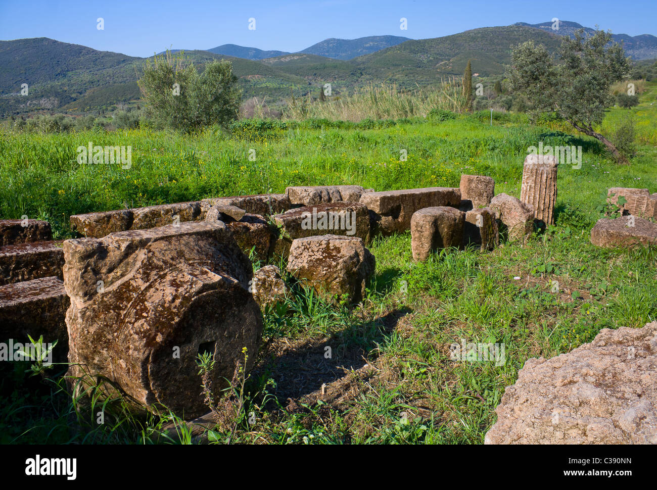 Ancient Greek ruins in Ancient Messini, Greece Stock Photo - Alamy