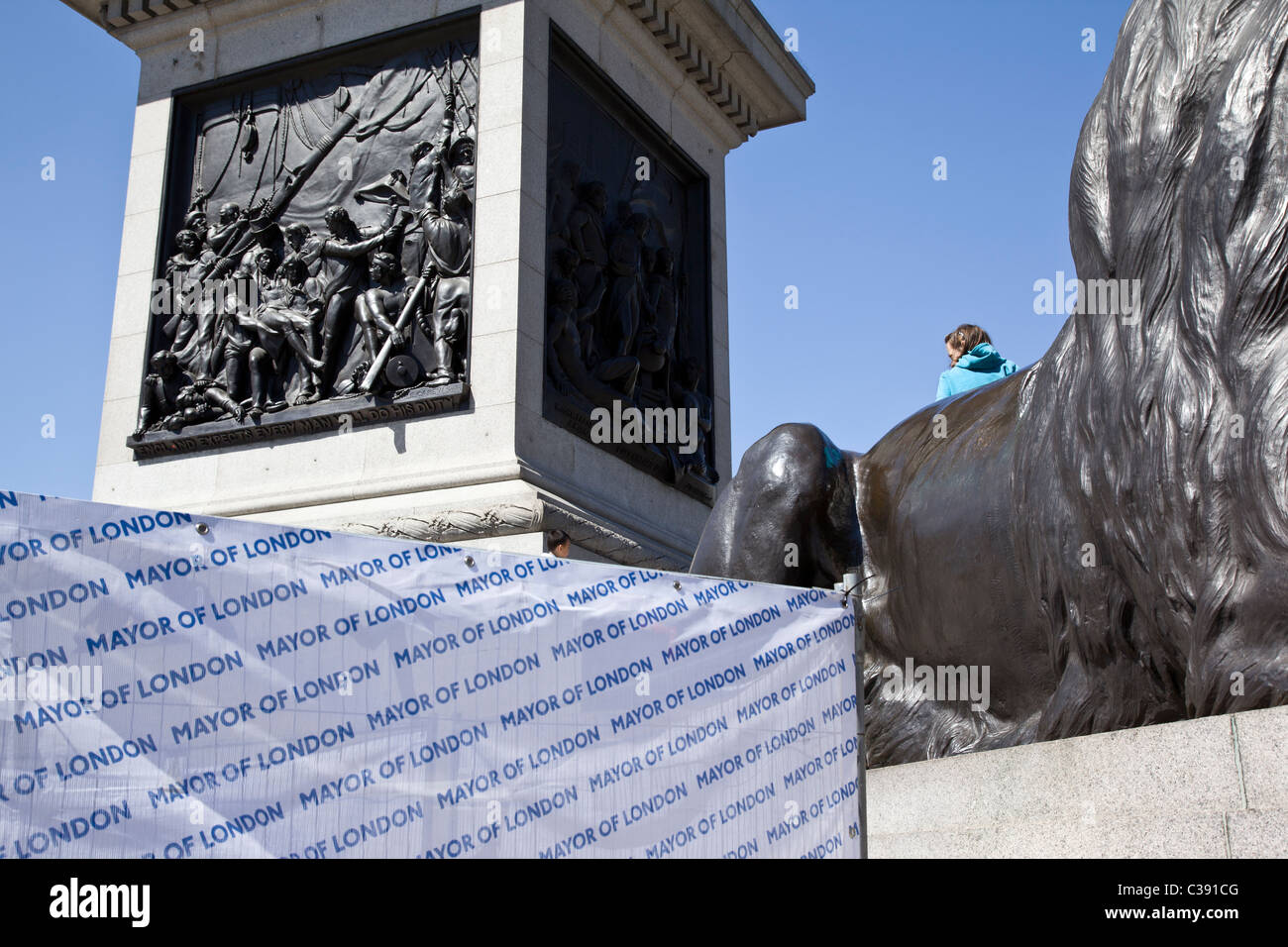 Two lions square hi-res stock photography and images - Alamy