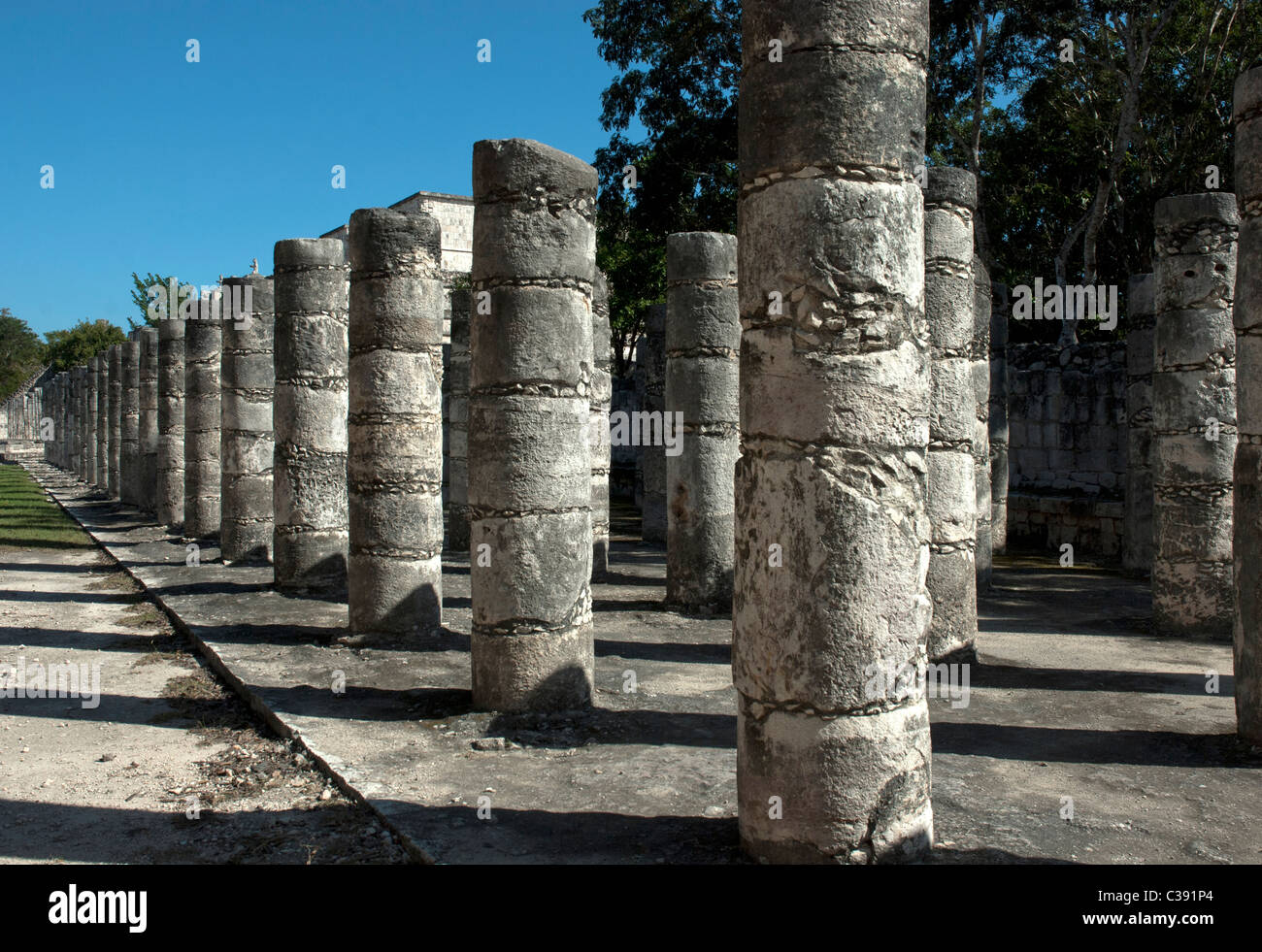 Thousand Columns complex in Chichen-Itza Stock Photo - Alamy