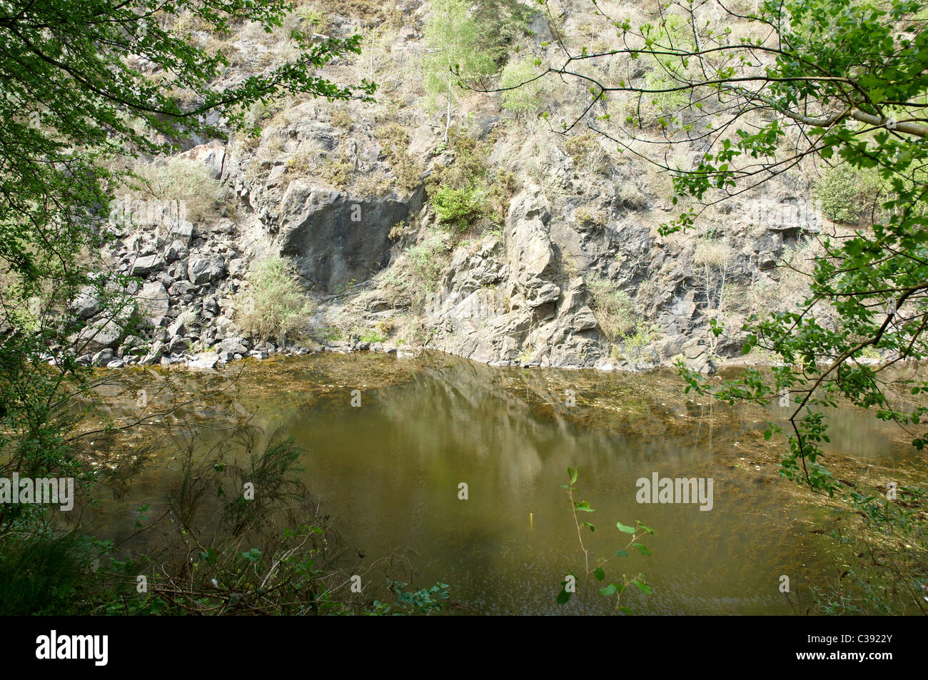 Rock fall in an old quarry, Earnslaw Lake in the Malvern Hills, England ...