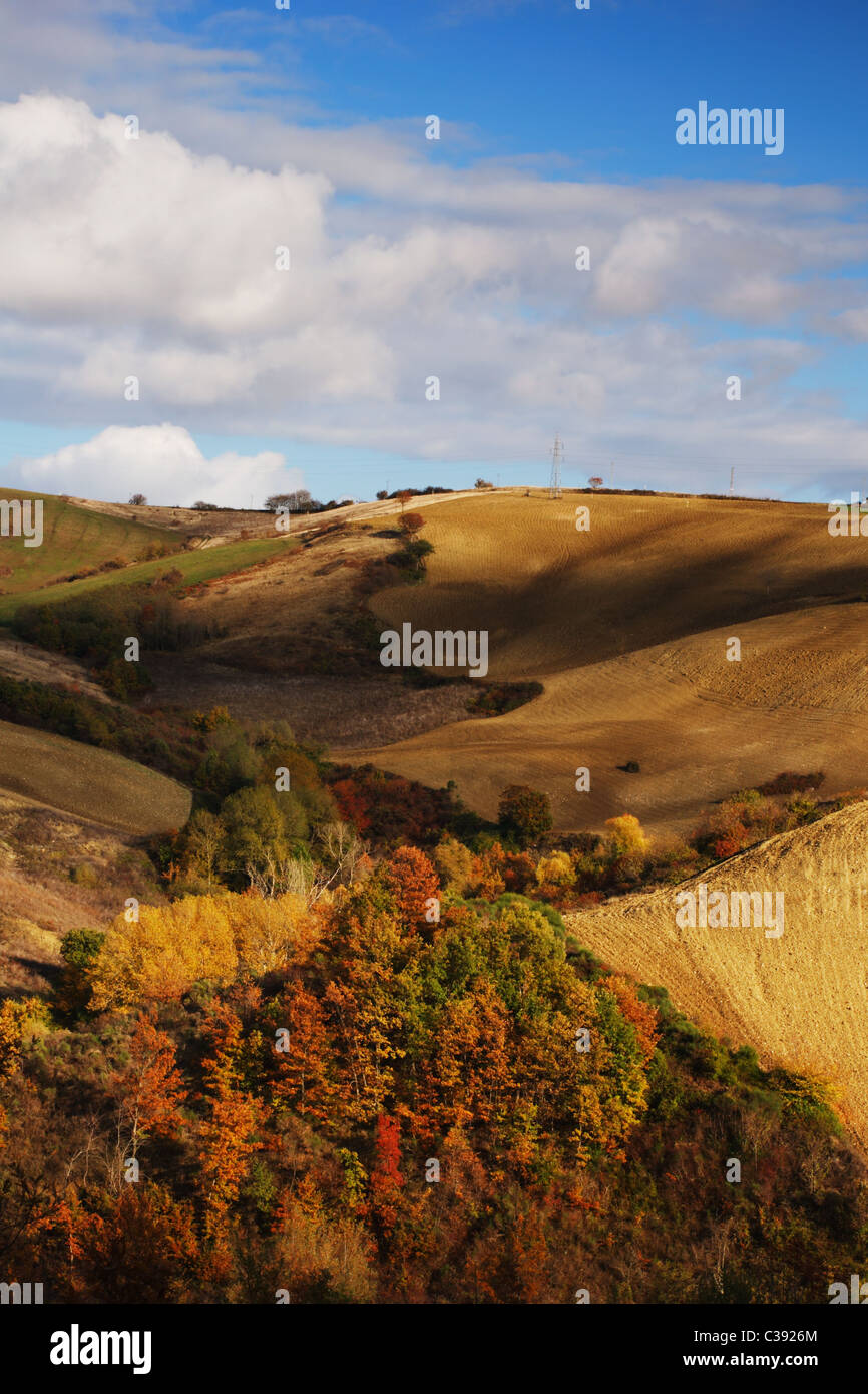 Fall colors on hillside in center Italy Stock Photo - Alamy