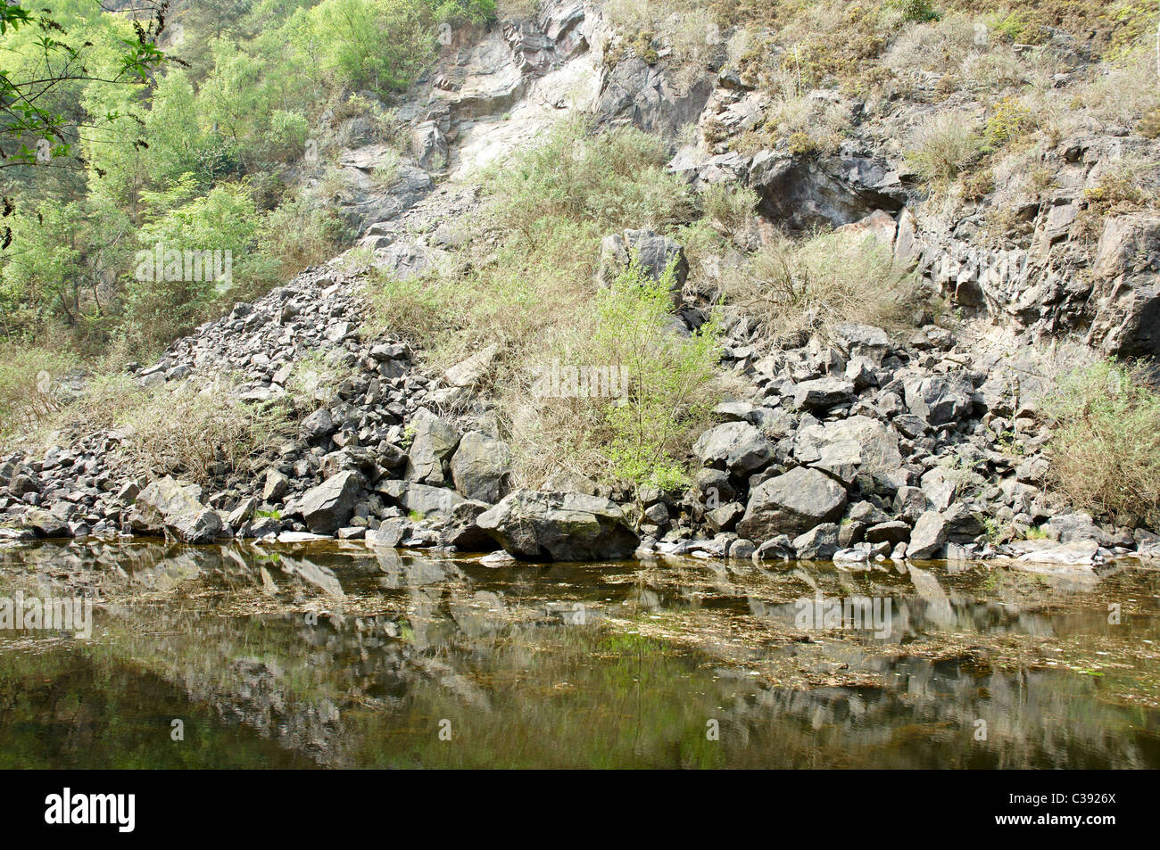 Rock fall in an old quarry, Earnslaw Lake in the Malvern Hills, England ...
