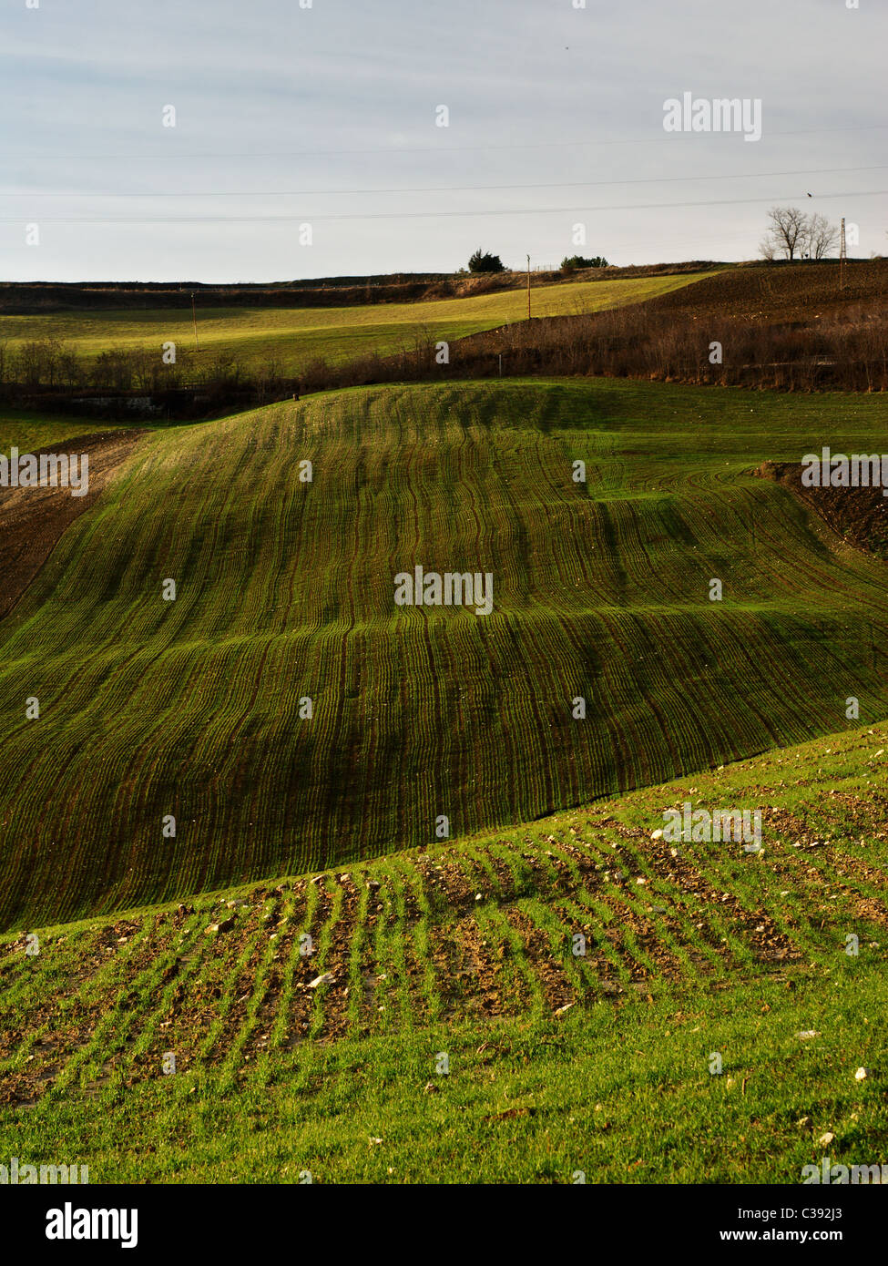 Undulated road hi-res stock photography and images - Alamy