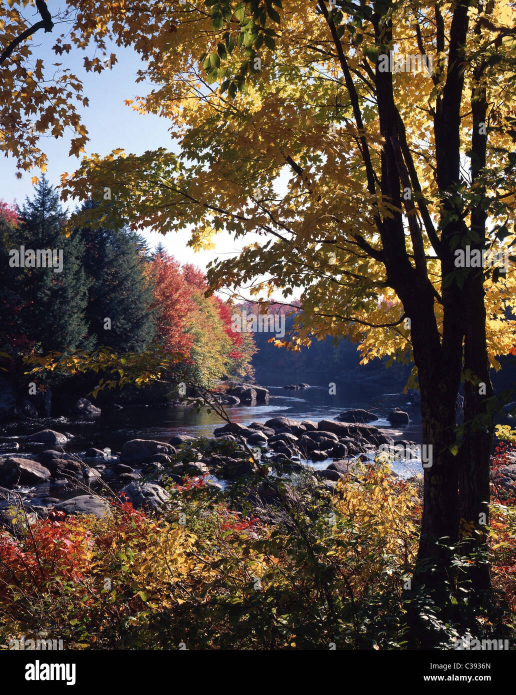 Scenic River in Autumn, NY Stock Photo - Alamy