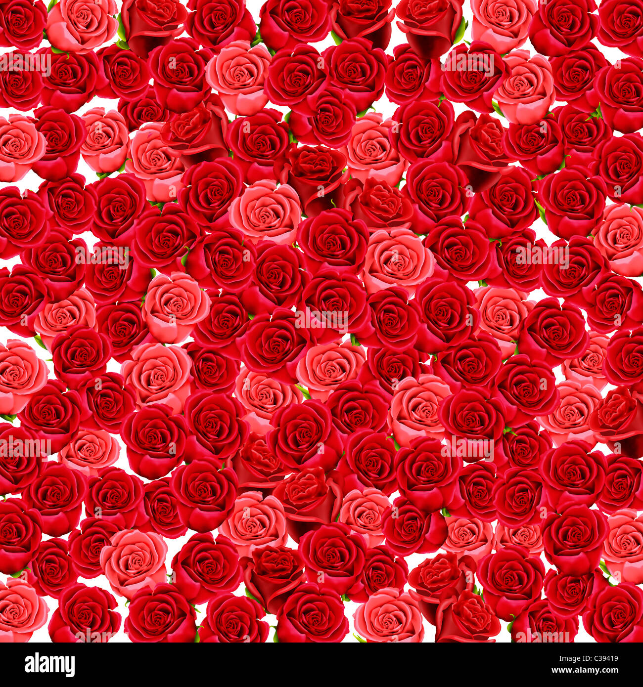 Wallpaper of red and pink roses Stock Photo - Alamy