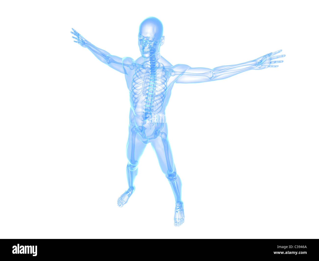 Human male body hi-res stock photography and images - Alamy