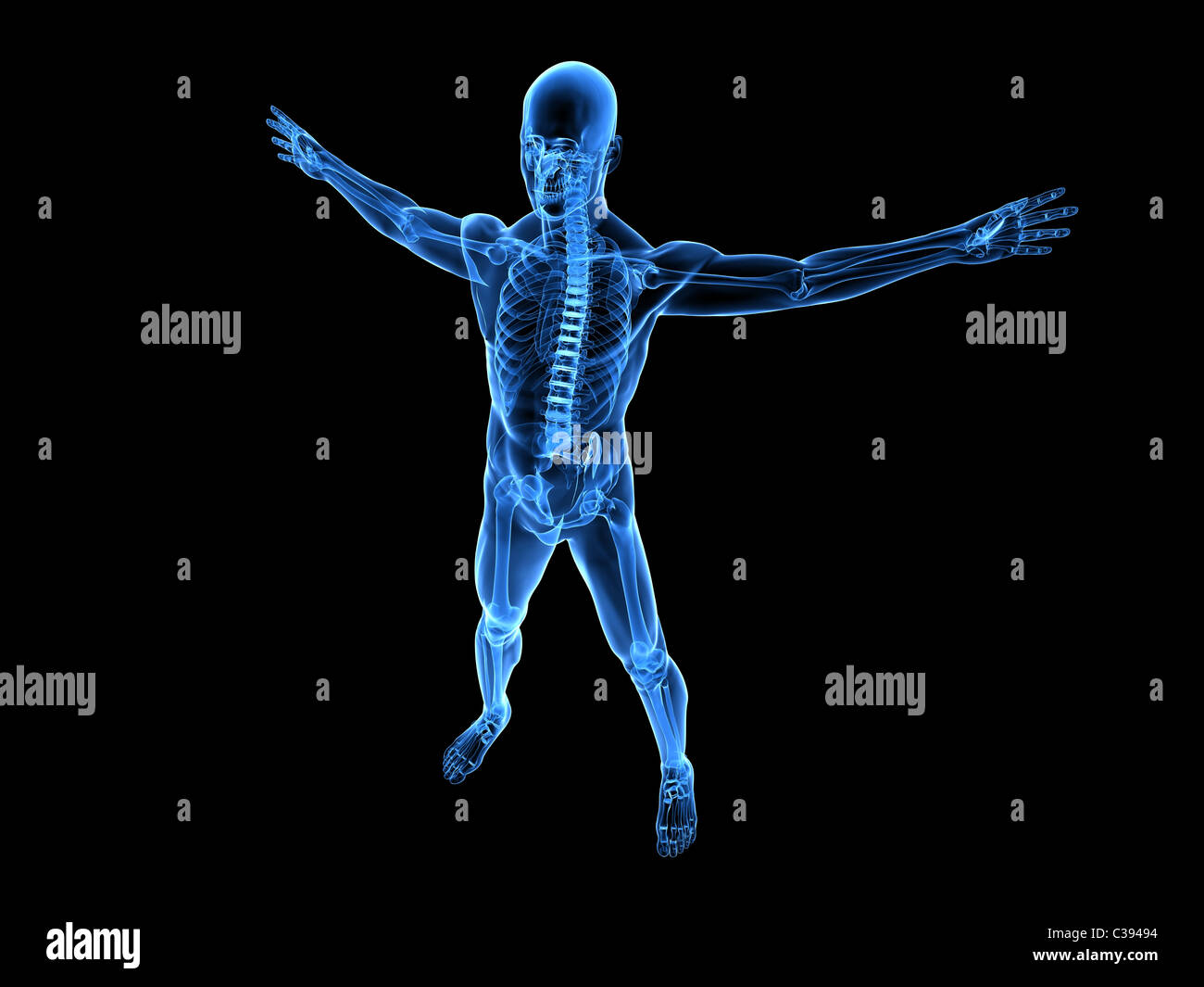 Male human body hi-res stock photography and images - Alamy