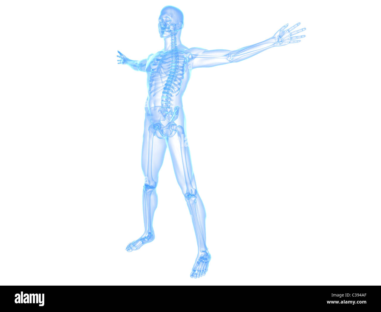 Human male hi-res stock photography and images - Alamy