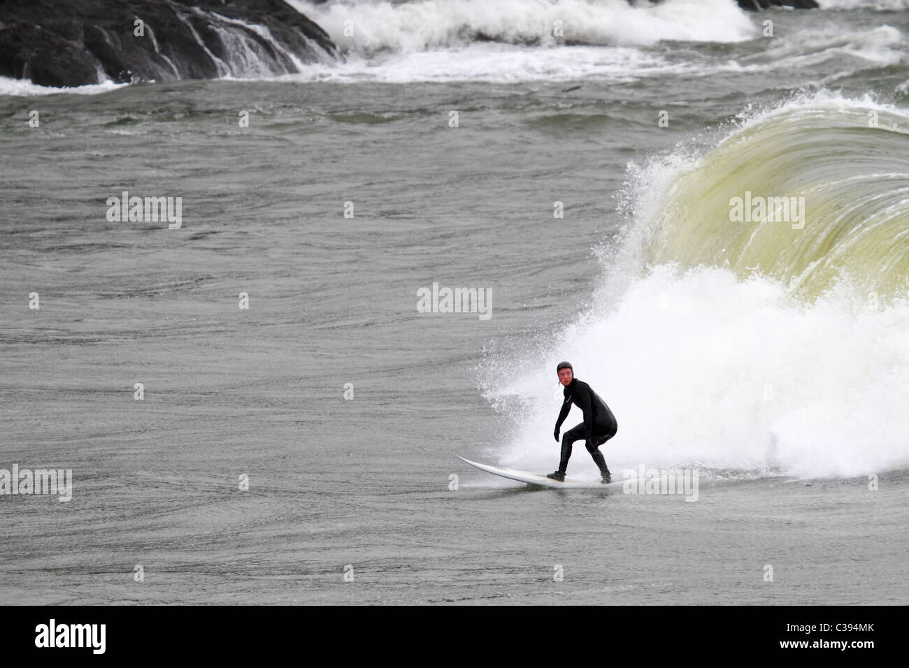 lone surfer on Washington's rocky coast surfing with cliffs clearly in ...