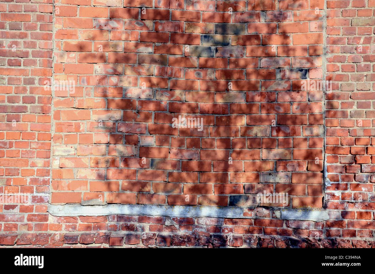 old red bricks wall background with tree shadow Stock Photo - Alamy