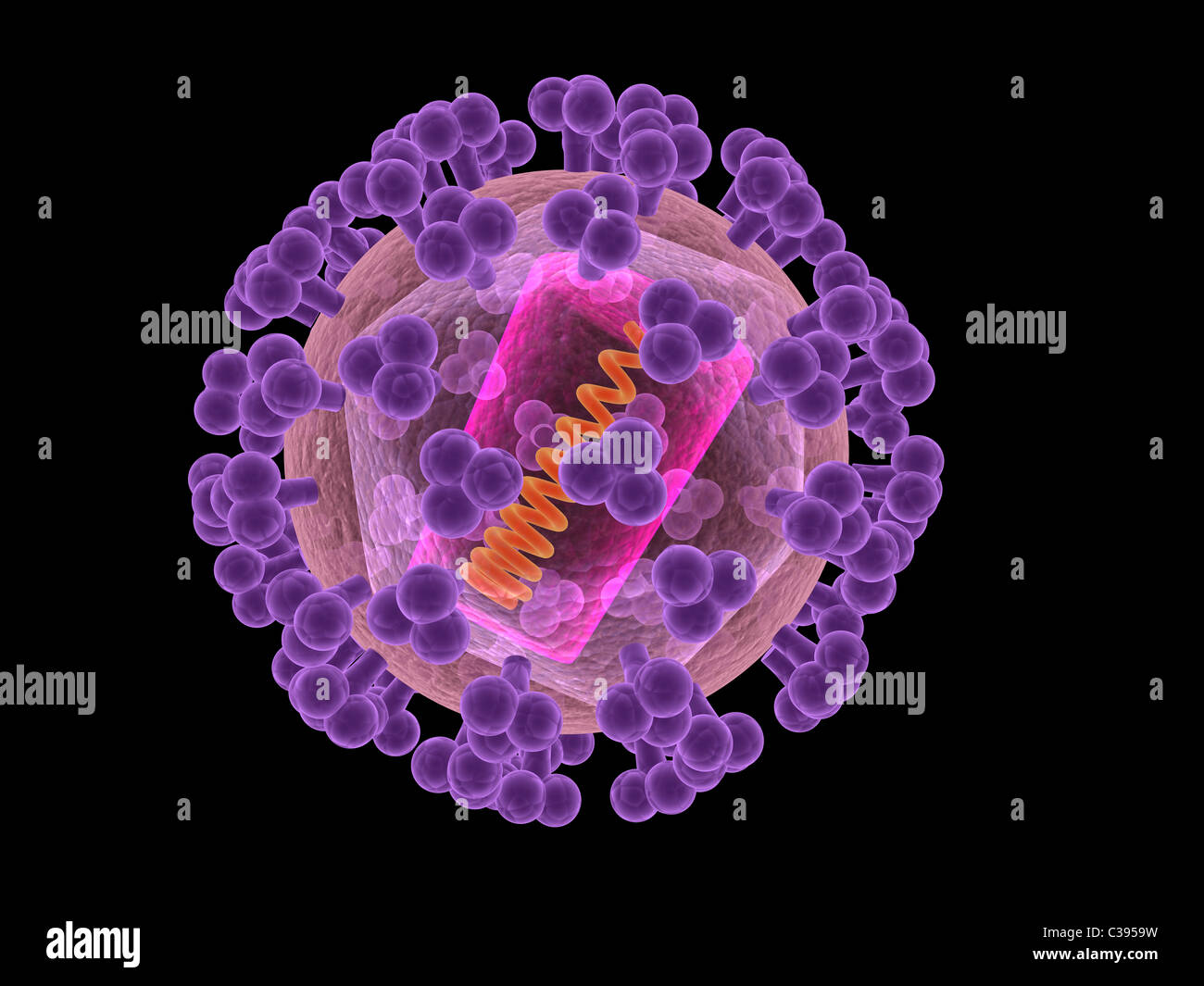 Of health hi hi-res stock photography and images - Alamy
