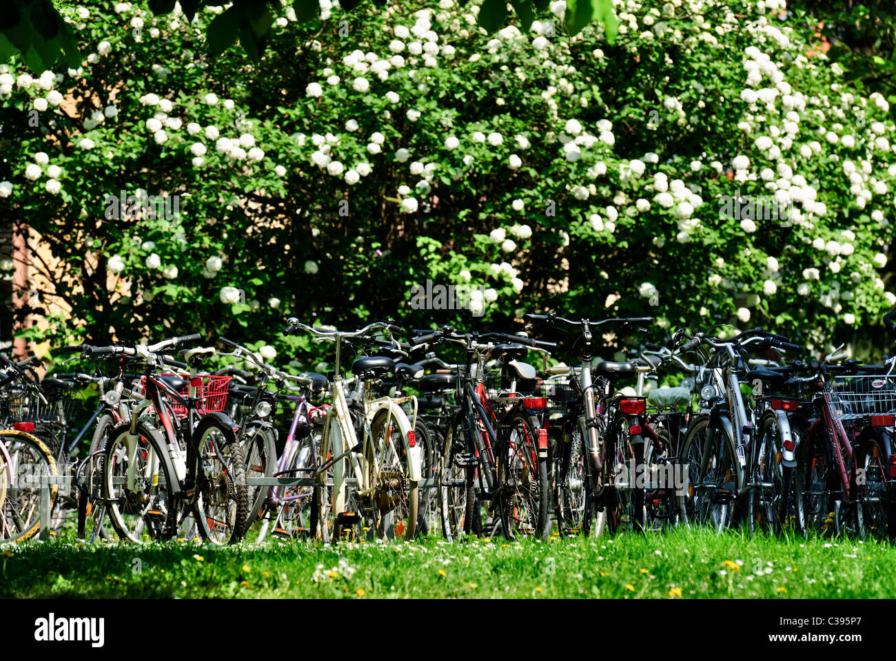 Cycle stand hi-res stock photography and images - Alamy