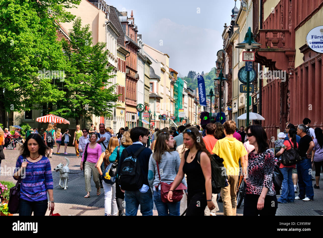Heidelberg Main Street, Hauptstrasse, Germany, Europe Stock Photo - Alamy