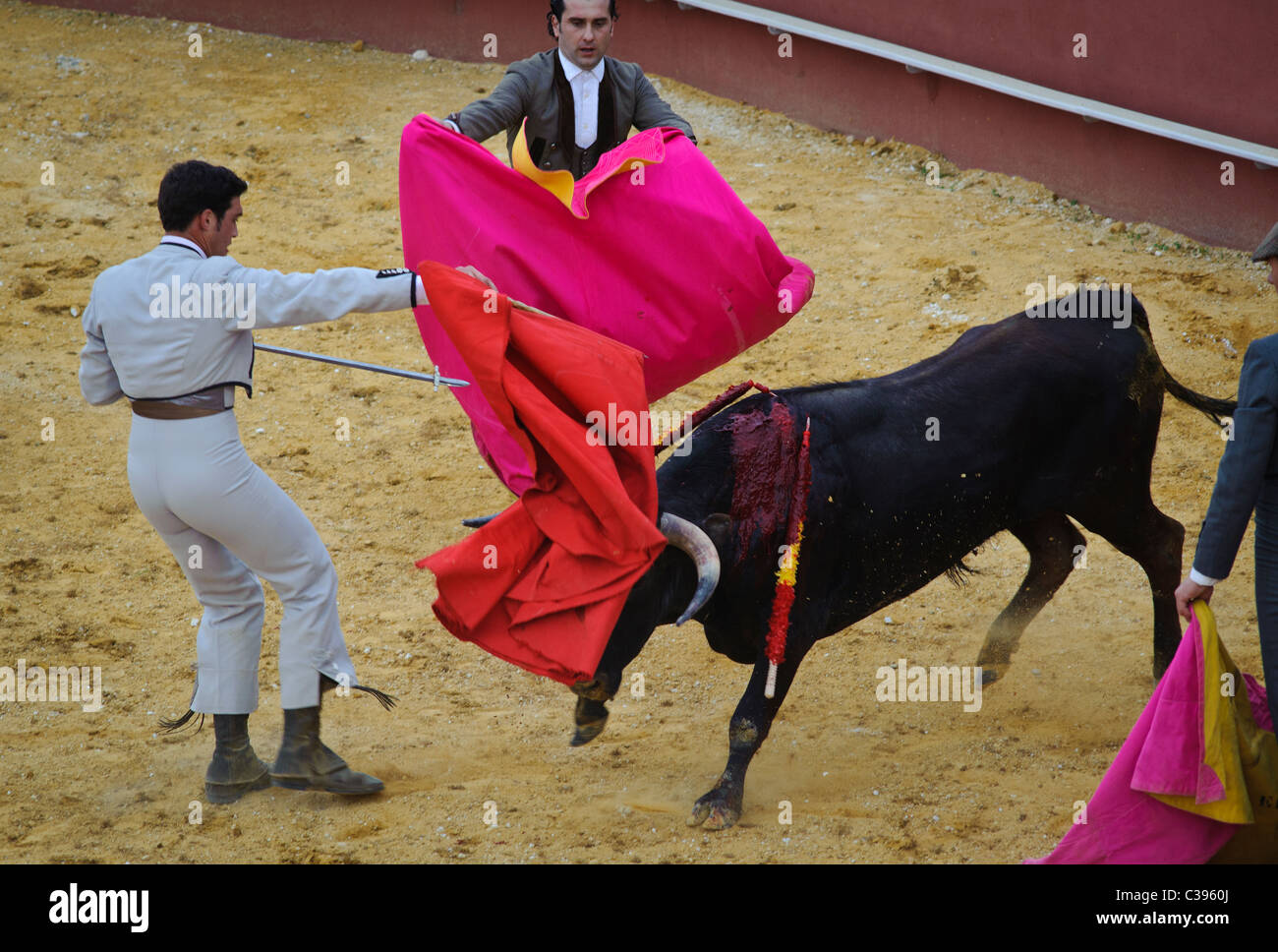 Corrida de toros hi-res stock photography and images - Alamy