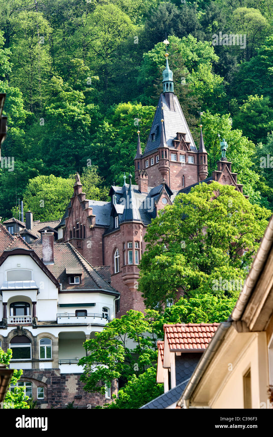 Heidelberg altstadt hi-res stock photography and images - Alamy