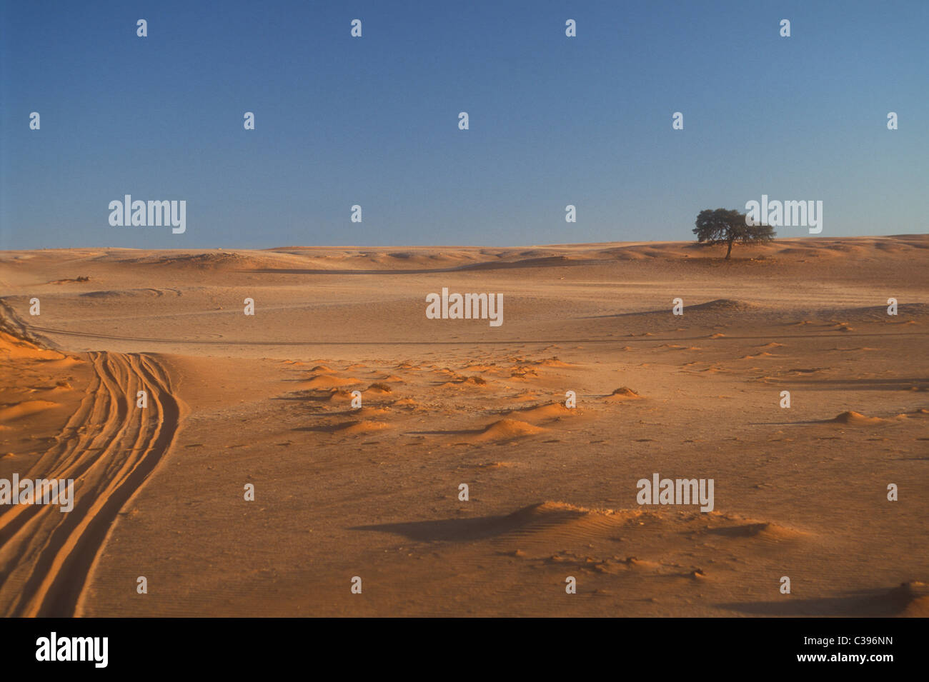 Gobabeb hi-res stock photography and images - Alamy