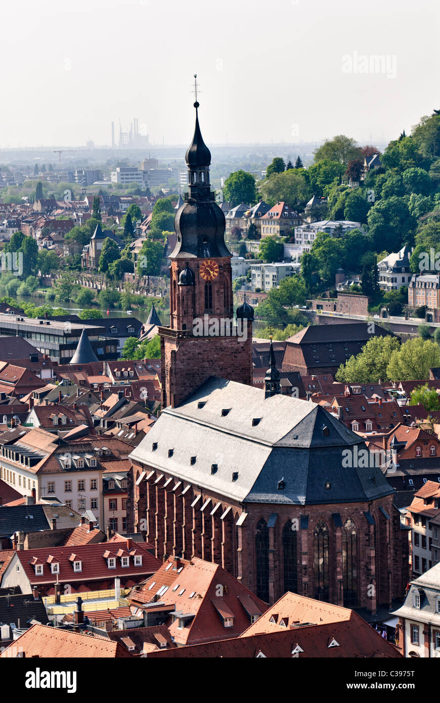 Frony Heidelberg Cathedral