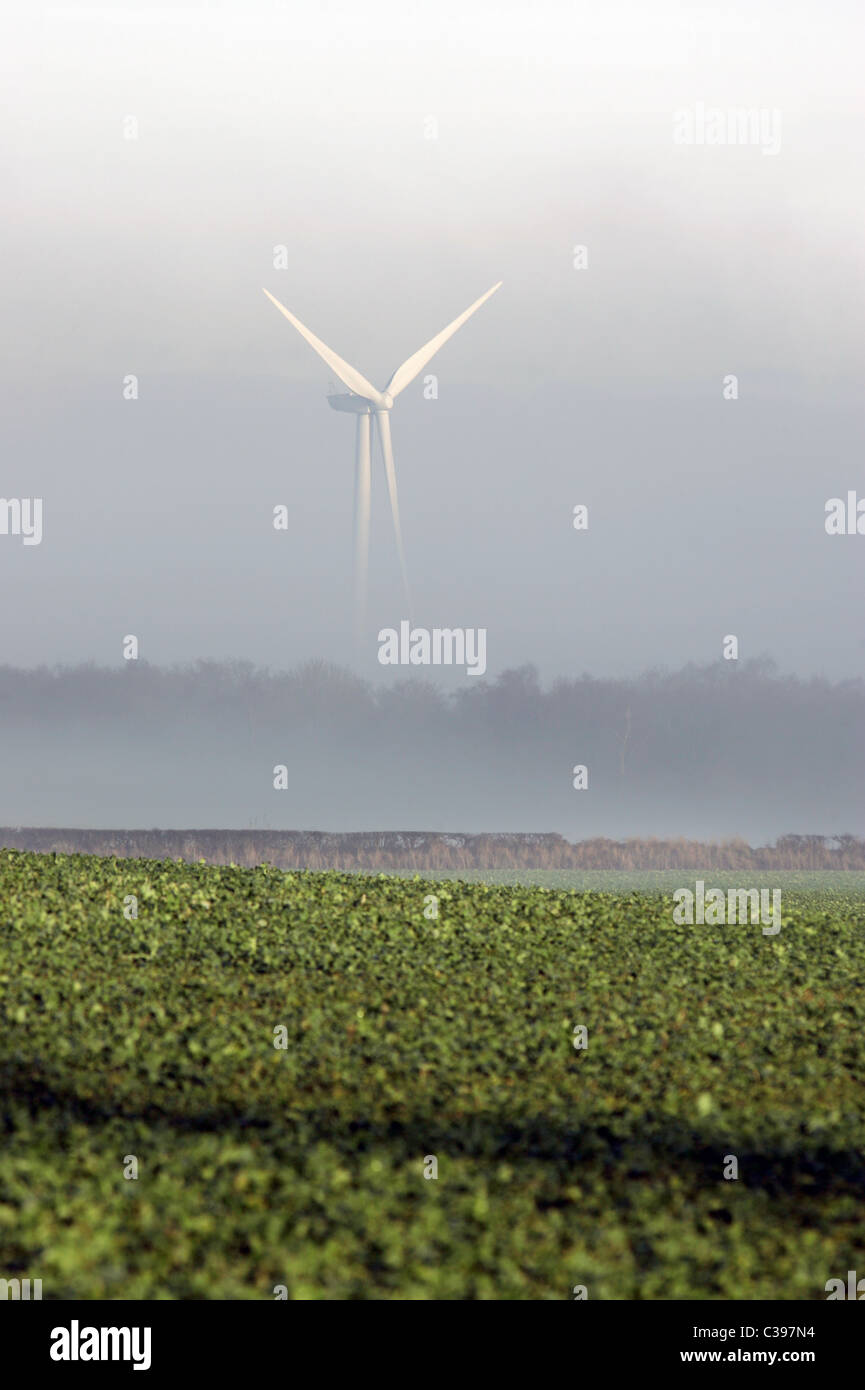 Sedgefield county durham hi-res stock photography and images - Alamy