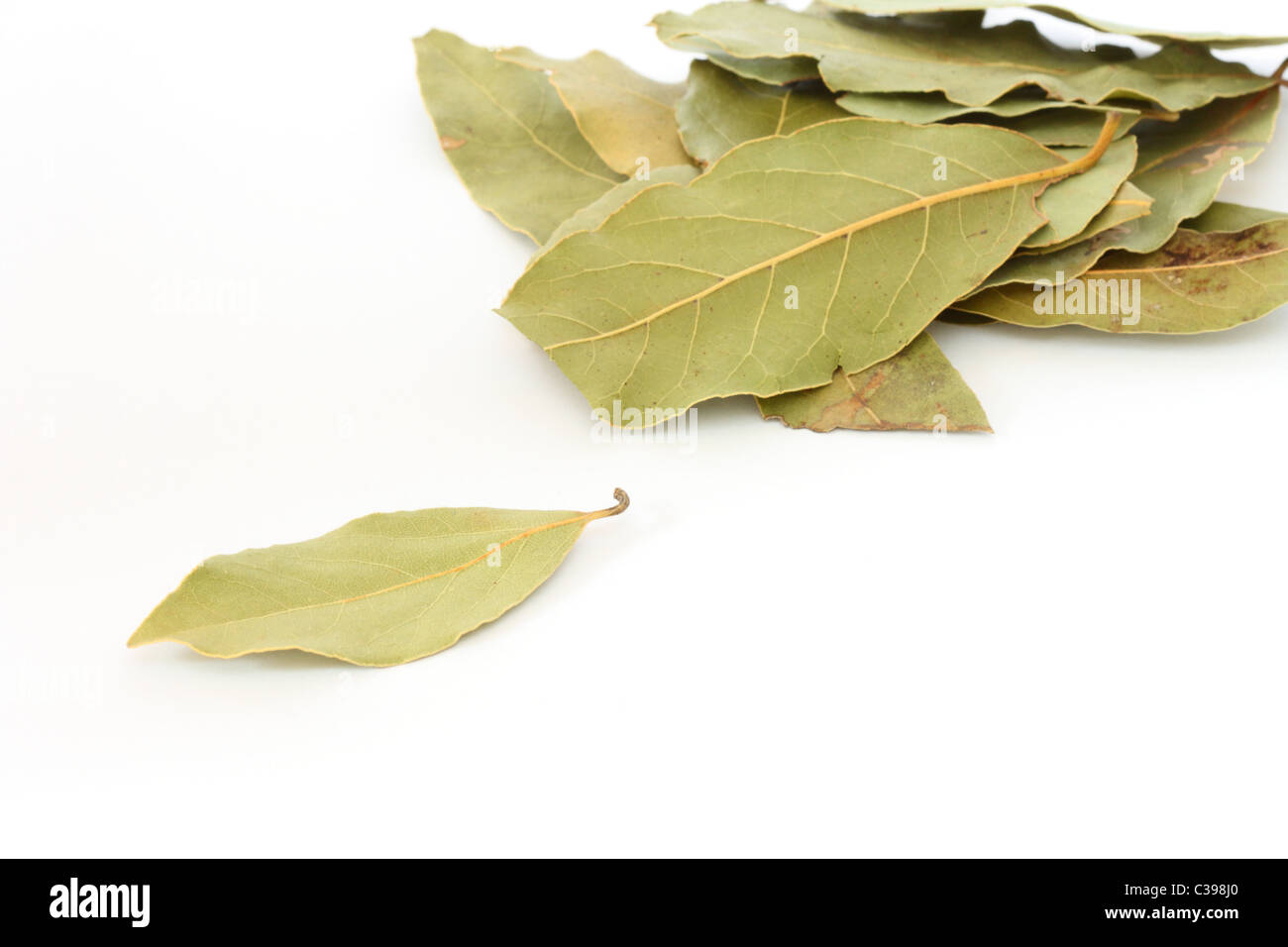 Close up of several leaves of bay leaf spice on white background Stock ...
