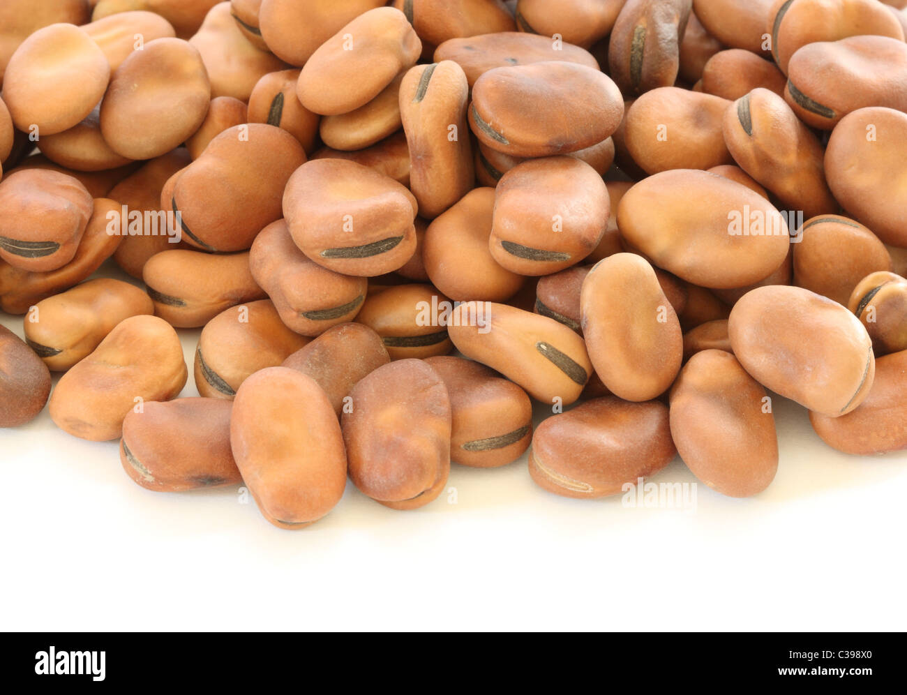 Close up view of large dry brown beans on white background Stock Photo ...
