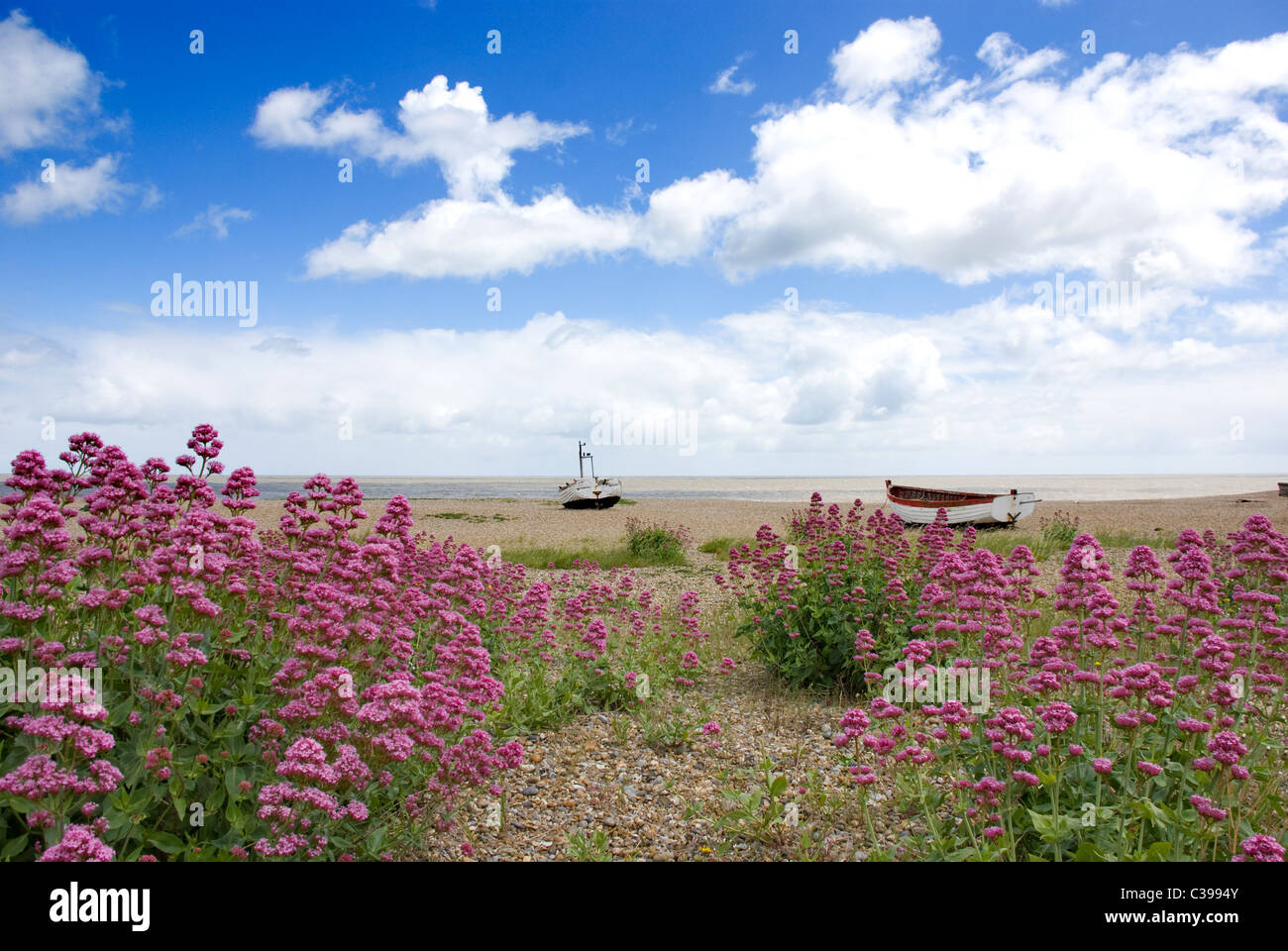 Boats on the beach, Aldeburgh Suffolk UK Stock Photo - Alamy