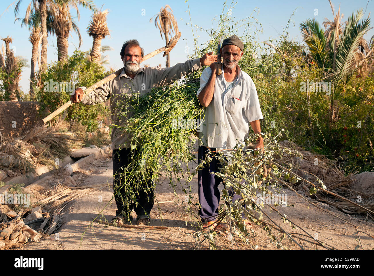 persian farmers in garmeh oasis near yazd in iran Stock Photo - Alamy