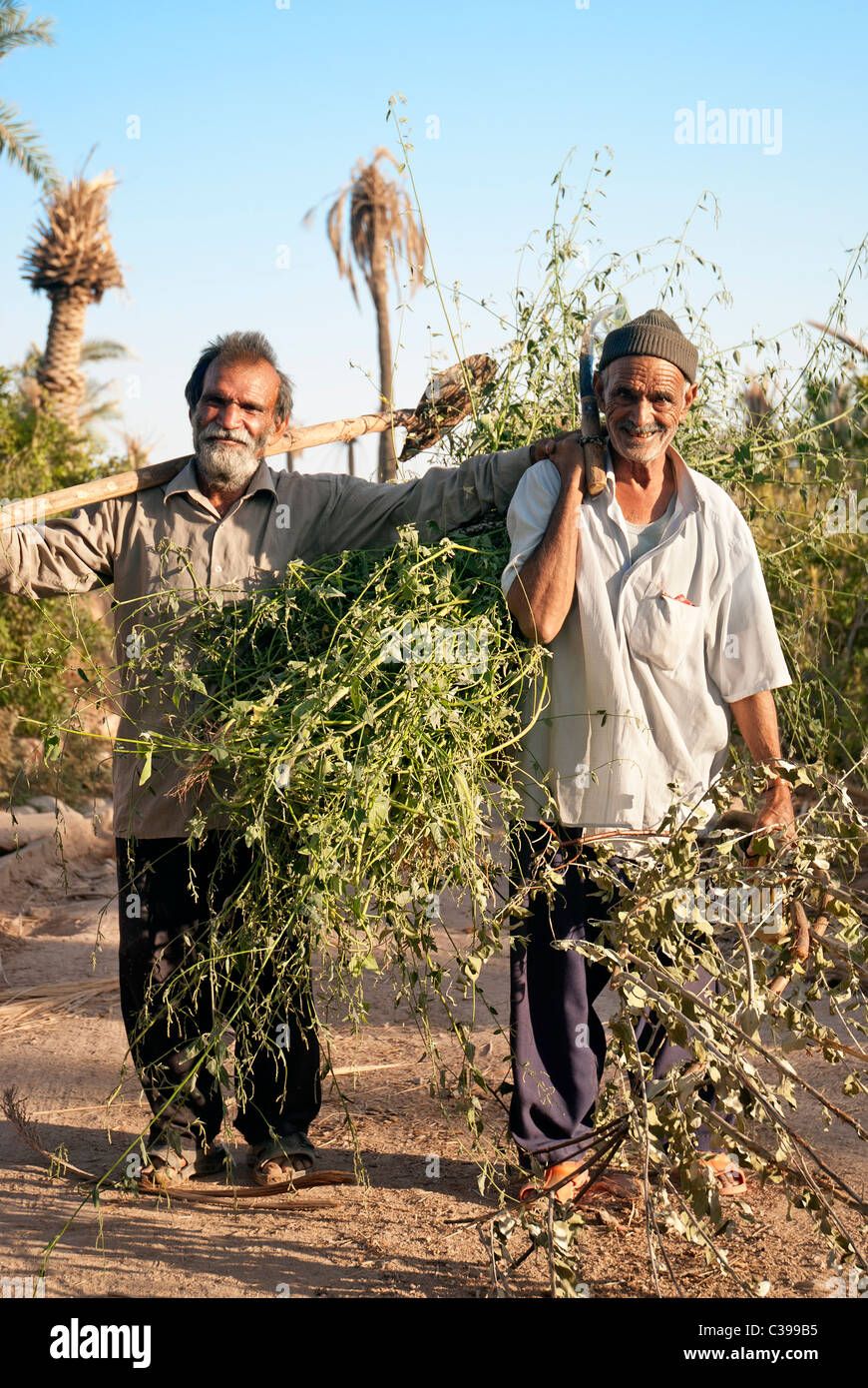 persian farmers in garmeh oasis near yazd in iran Stock Photo - Alamy