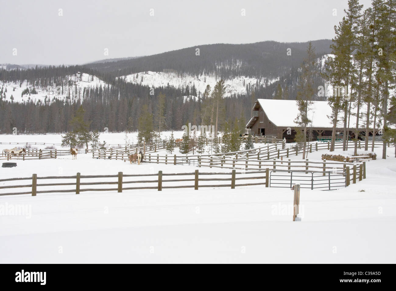 Devil's thumb ranch hi-res stock photography and images - Alamy