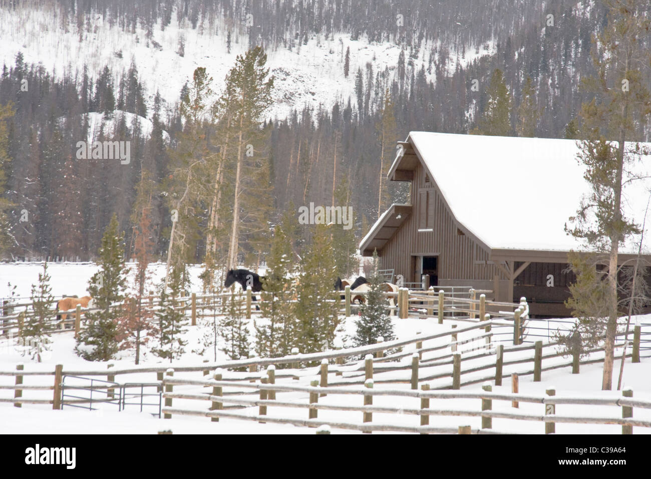 Devil's Thumb Ranch in winter, an environmentally friendly resort and ...