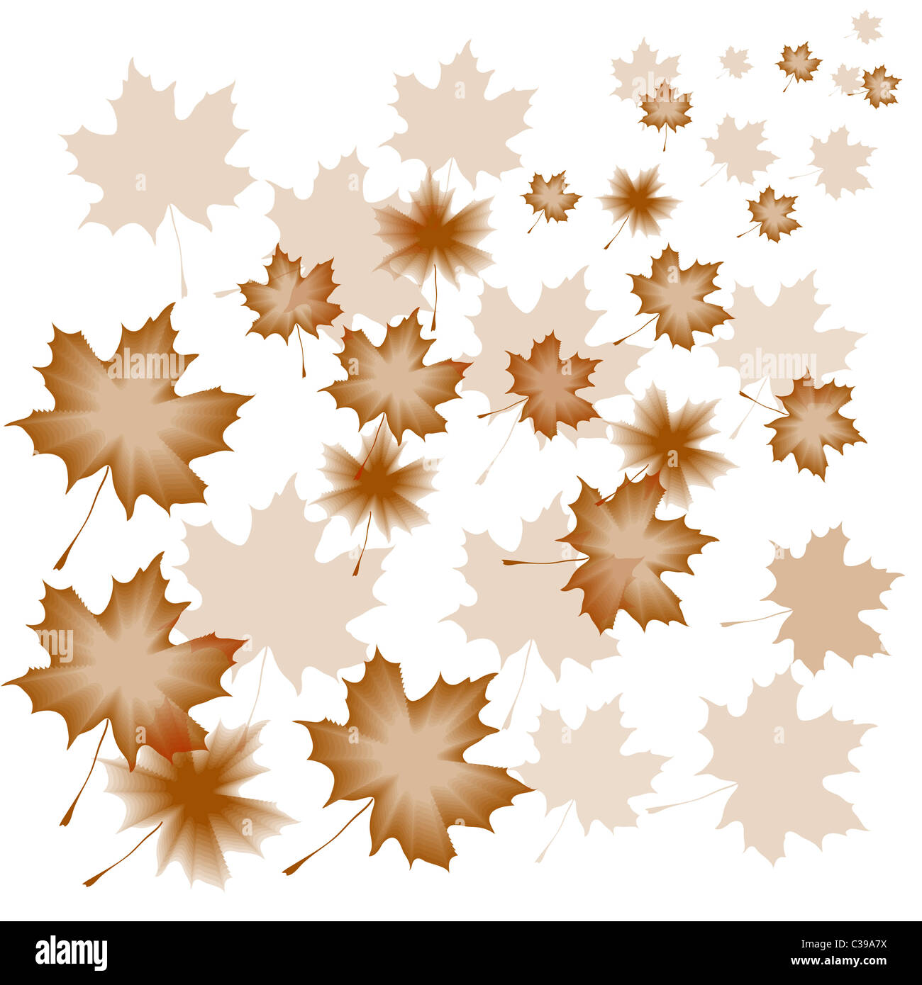 Abstract autumn background from flying leaves of a maple Stock Photo ...