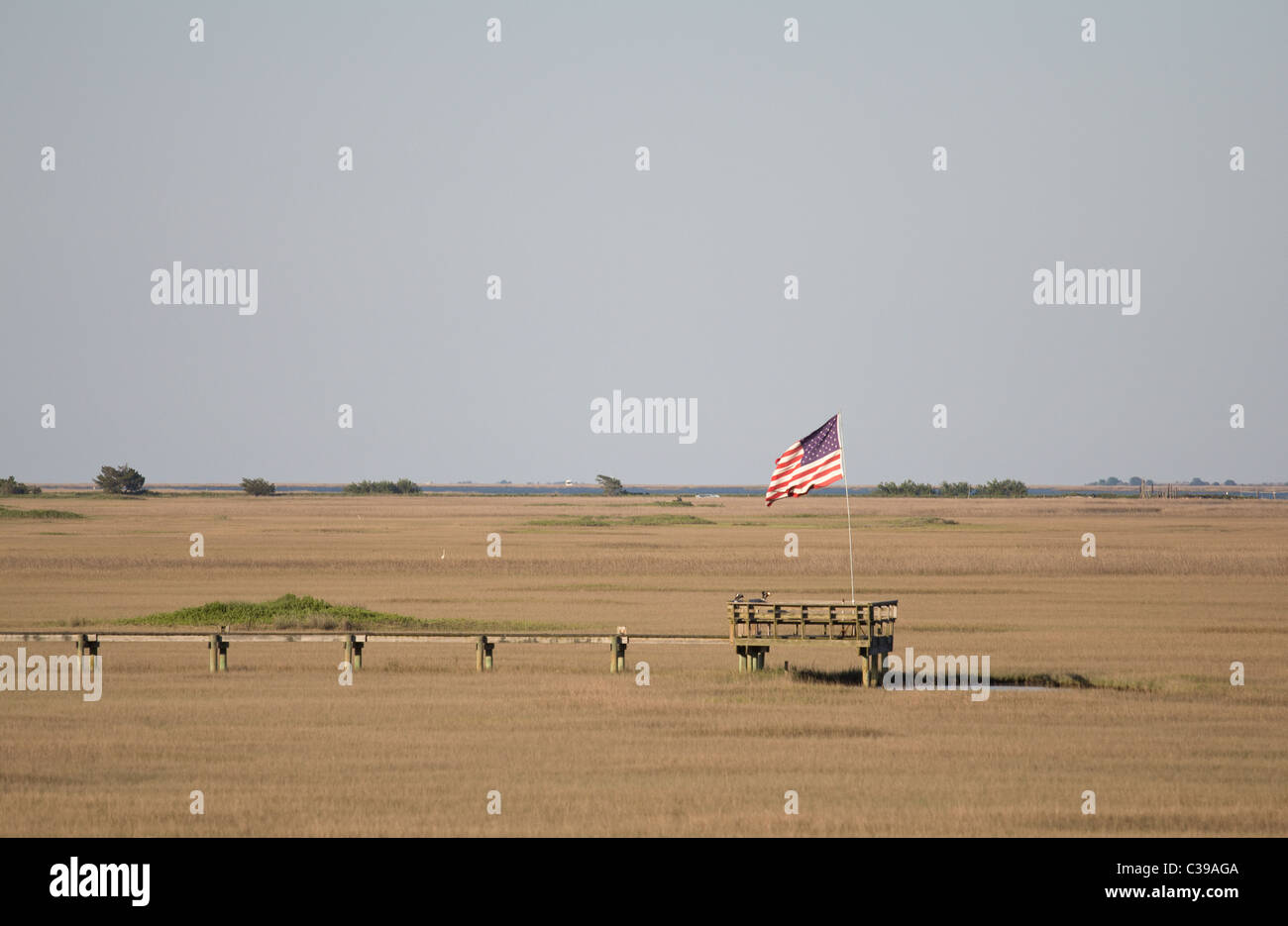 South Carolina salt marsh with pier and American flag Stock Photo - Alamy
