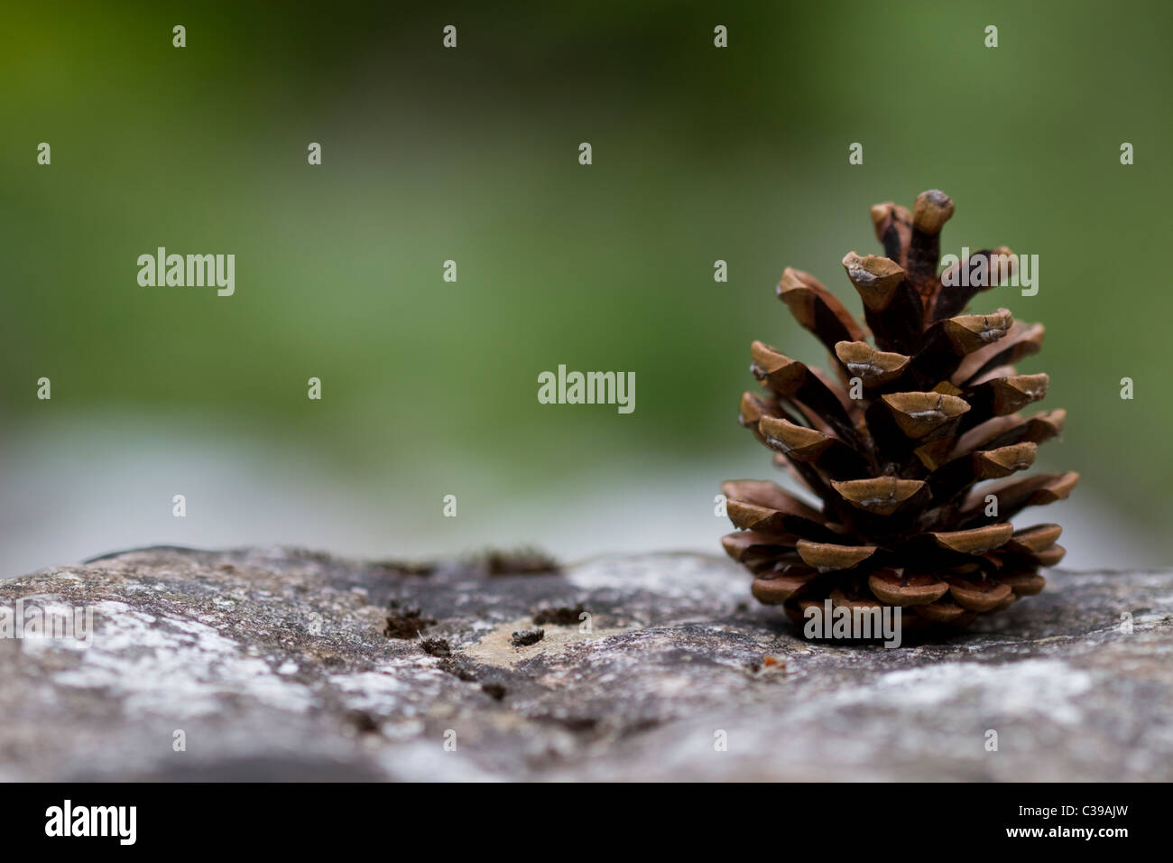 Rock cone hi-res stock photography and images - Alamy