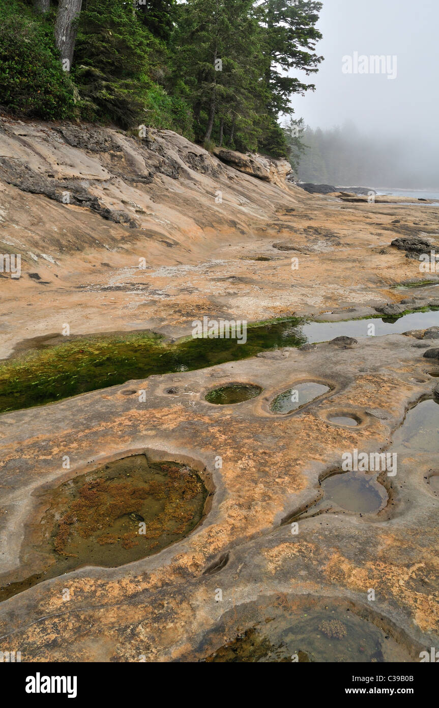 Tide pools hi-res stock photography and images - Alamy