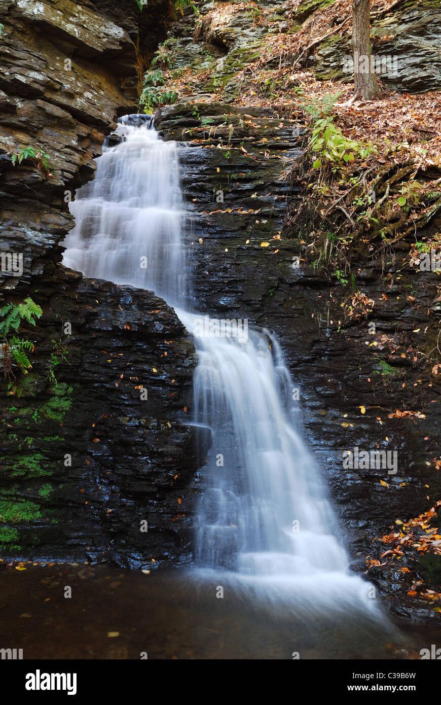 Waterfall in mountain with Autumn foliage and woods over rocks Stock ...