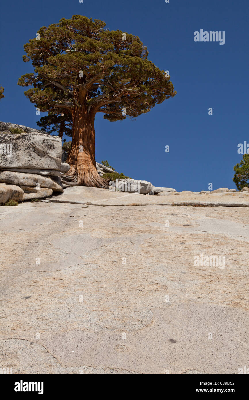 Olmsted Point Tioga High Resolution Stock Photography and Images - Alamy