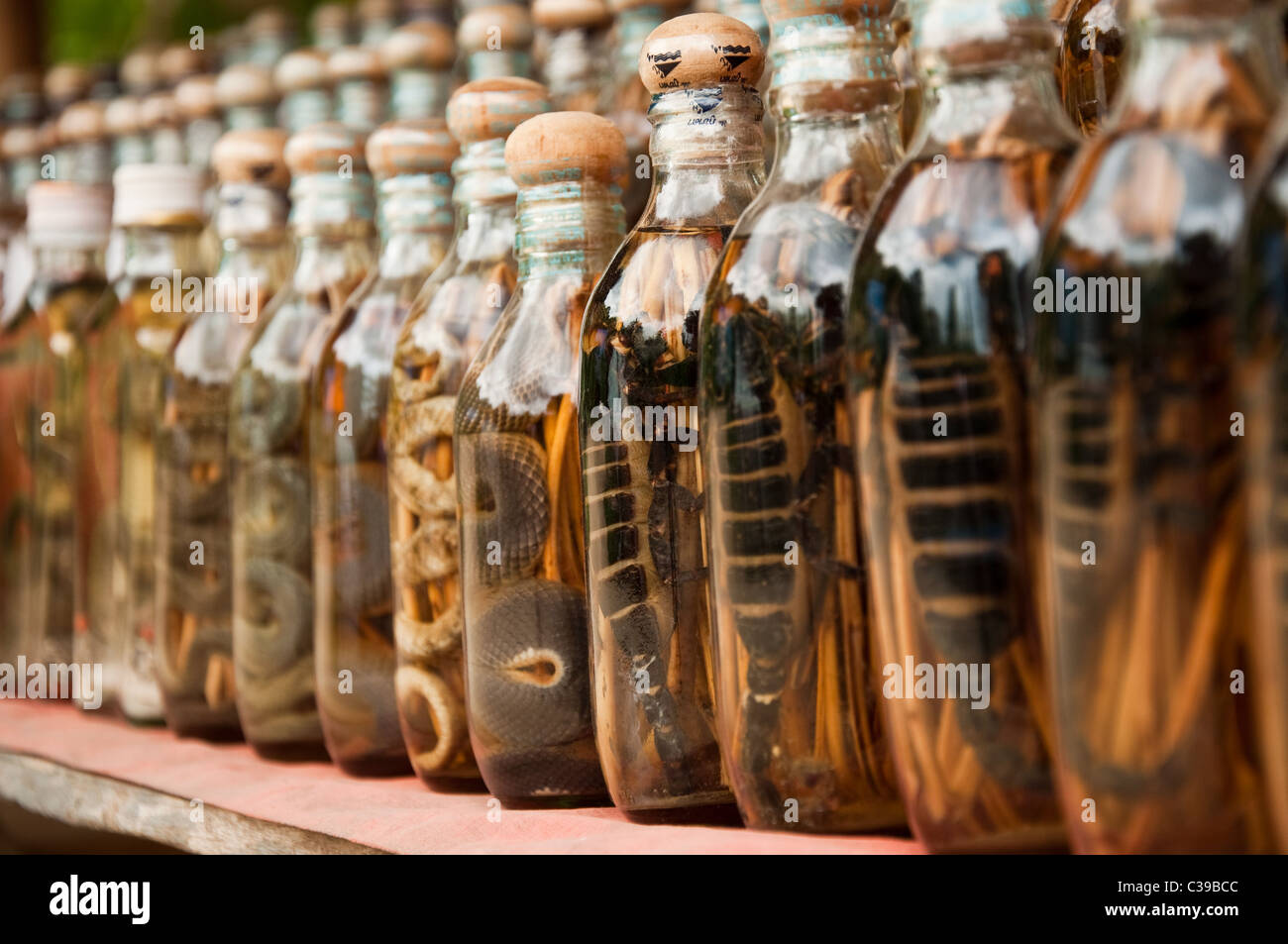 Snakes and scorpions preserved in Rice Whiskey in a Mekong River ...