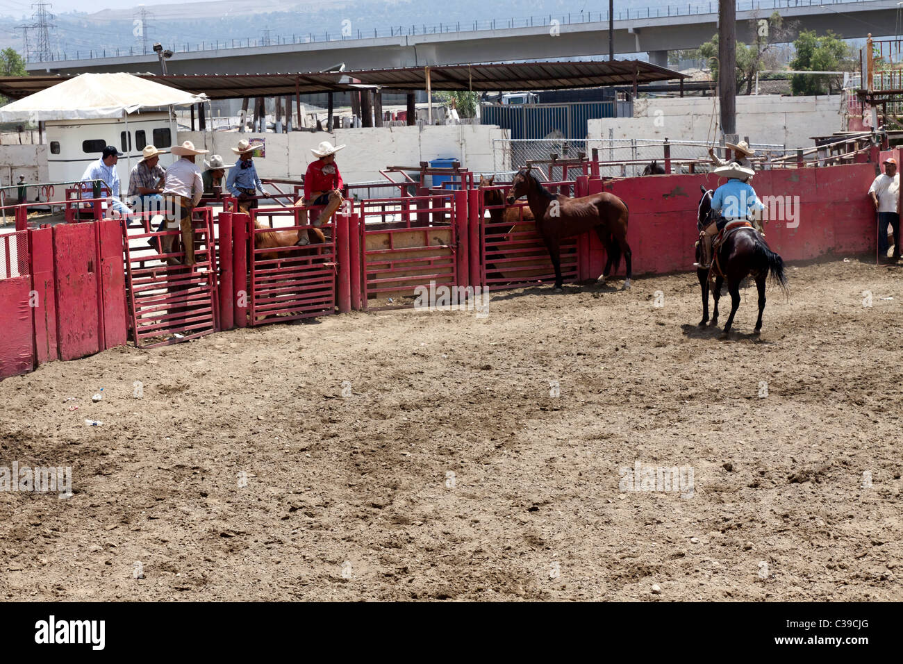 Cowboys at Rancho Farallon, Los Angeles, California, USA Stock Photo ...