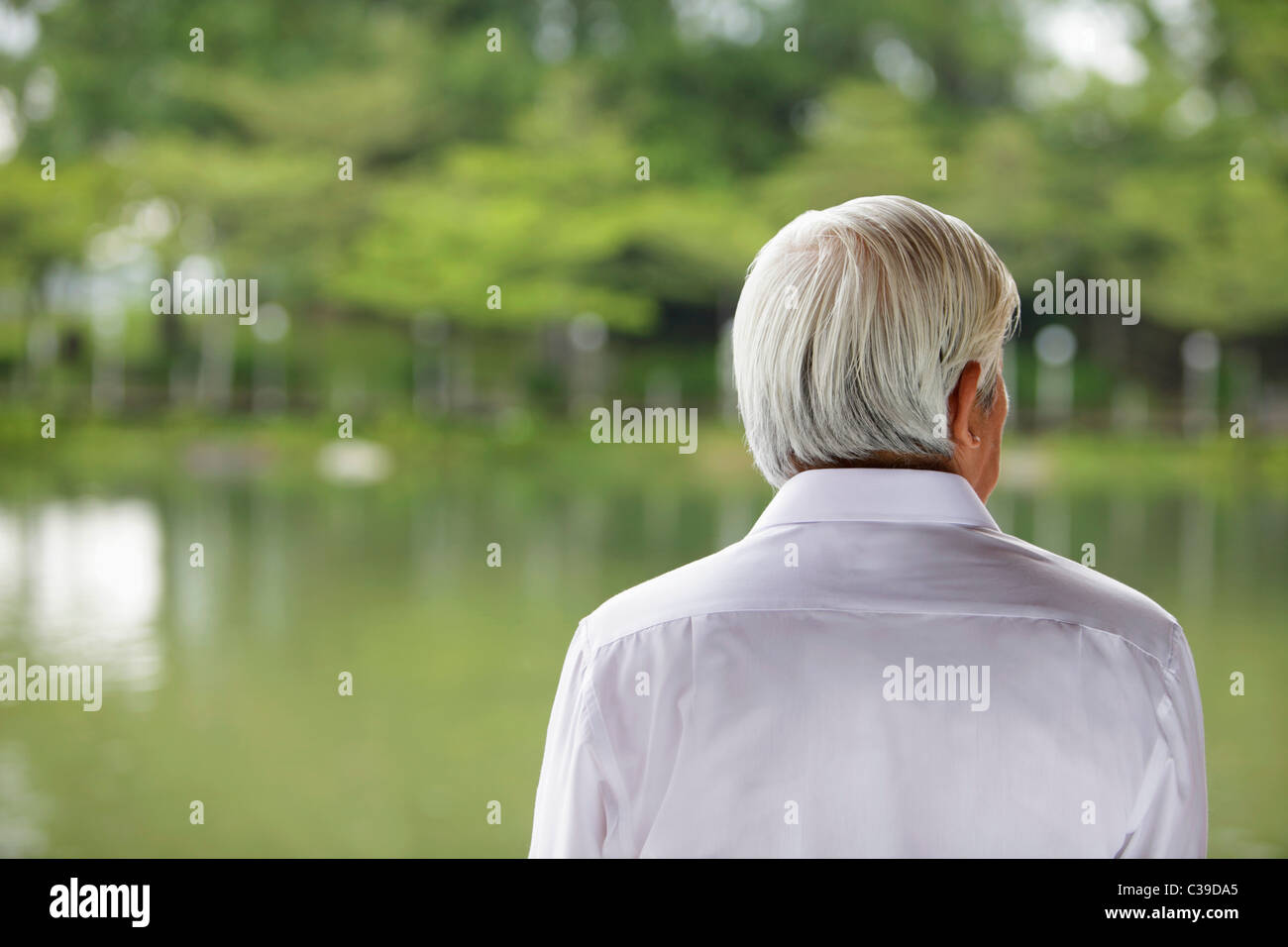 Back view of old man looking at lake Stock Photo - Alamy