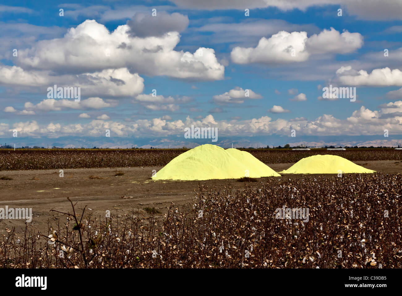 Fertilizer in cotton fields near Hilmar in Merced County, California ...