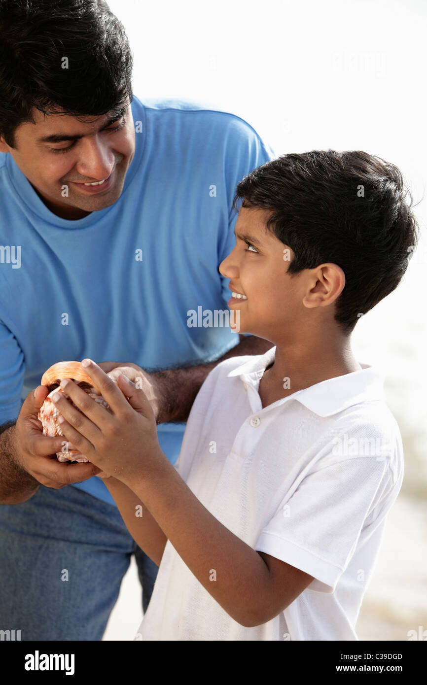 6 shell hi-res stock photography and images - Alamy