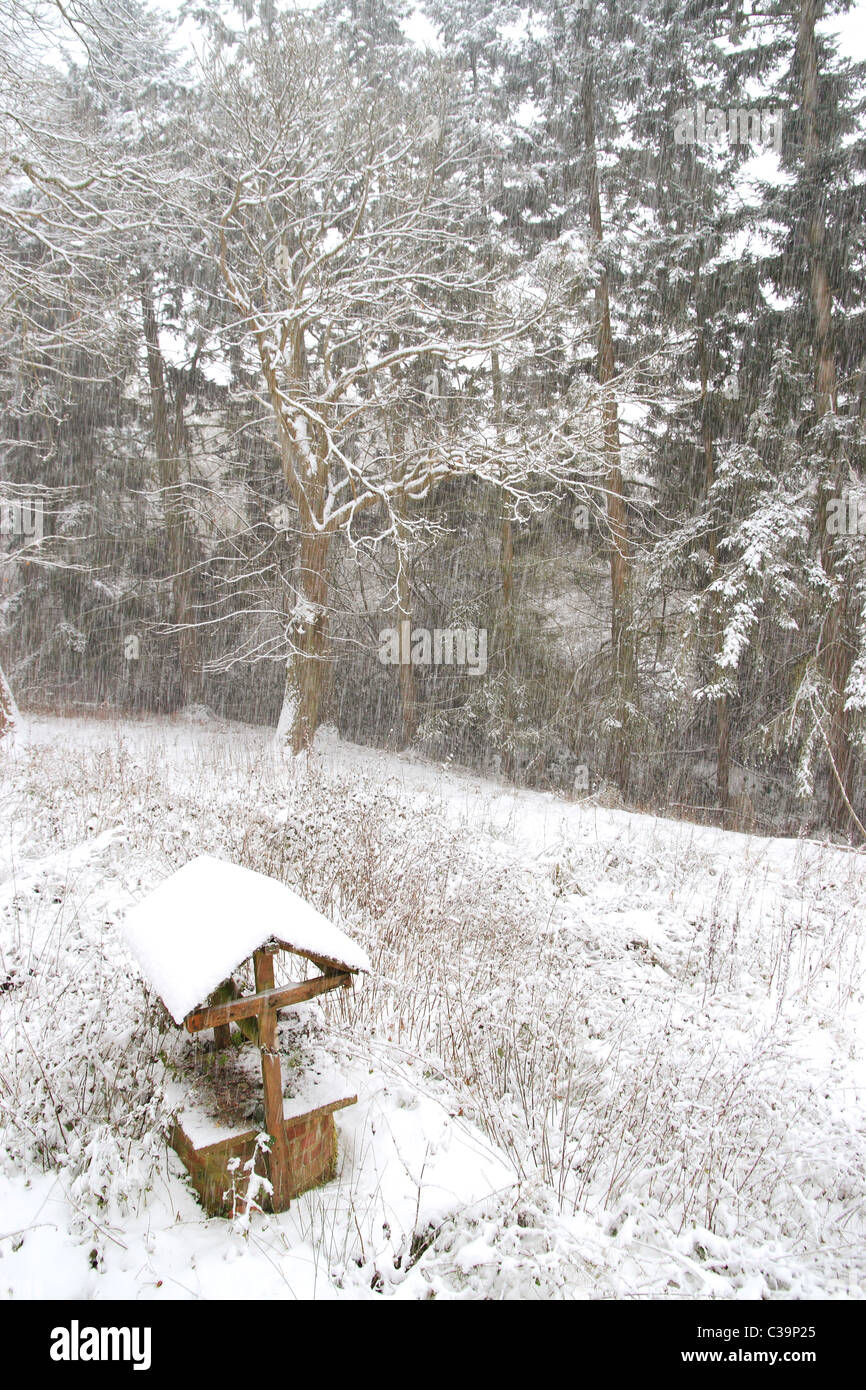 Tree well snow hi-res stock photography and images - Alamy