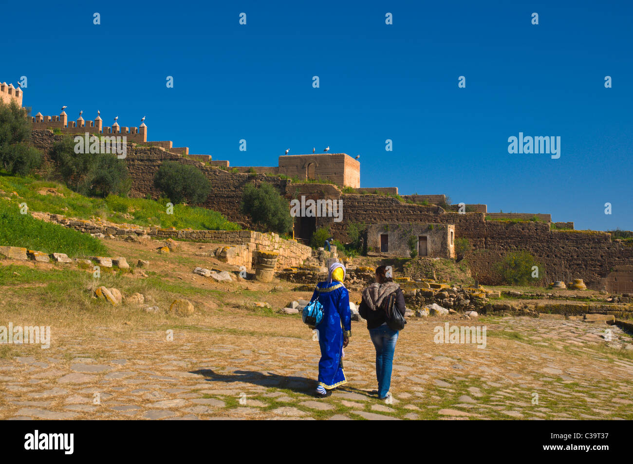 Chellah the necropolis complex Rabat the capital of Morocco Africa ...